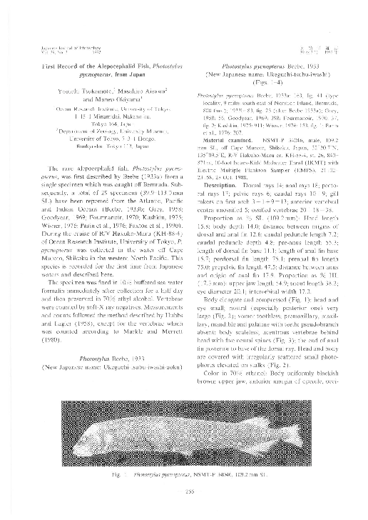 (PDF) First record of the Alepocephalid fish,Photostylus pycnopterus ...