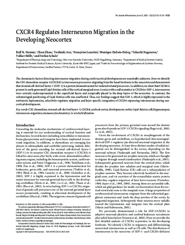 (PDF) CXCR4 Regulates Interneuron Migration in the Developing Neocortex