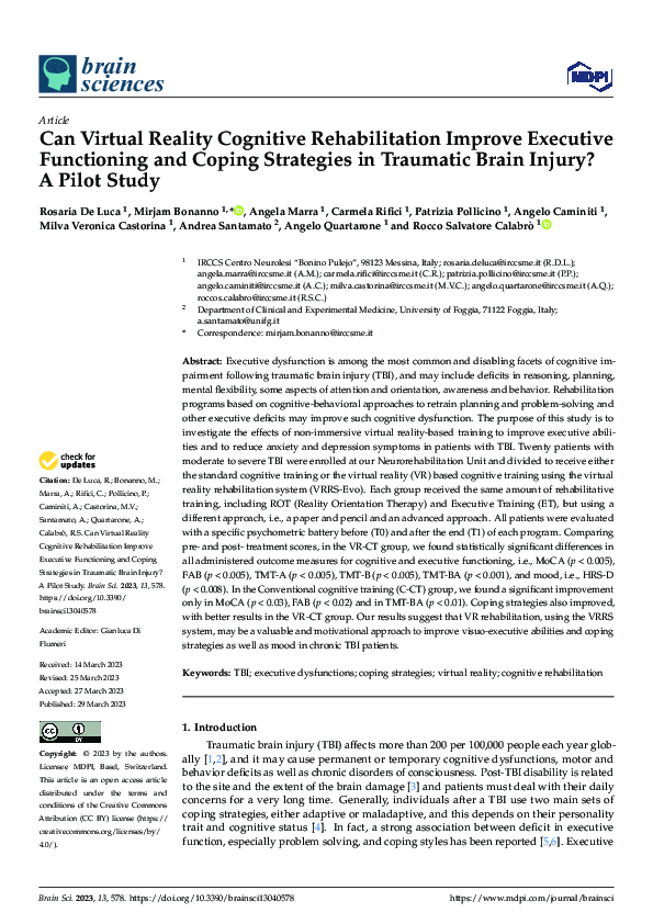 (PDF) Can Virtual Reality Cognitive Rehabilitation Improve Executive ...