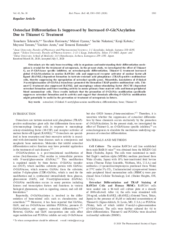 (PDF) Osteoclast Differentiation Is Suppressed by Increased O -GlcNAcylation Due to Thiamet G ...