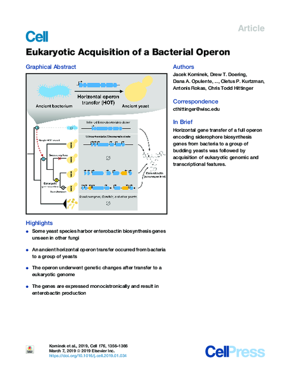 (PDF) Eukaryotic Acquisition and Evolution of Bacterial Operon