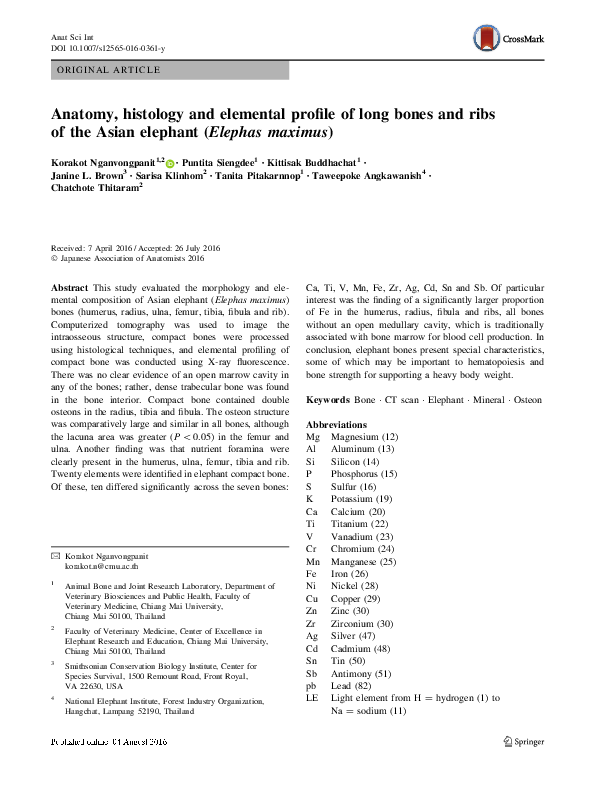 (PDF) Anatomy, histology and elemental profile of long bones and ribs ...