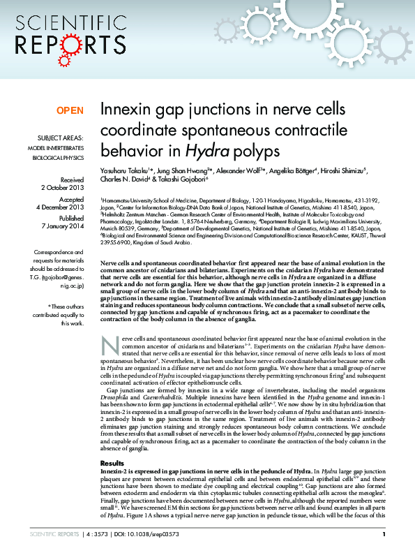 (PDF) Innexin gap junctions in nerve cells coordinate spontaneous ...
