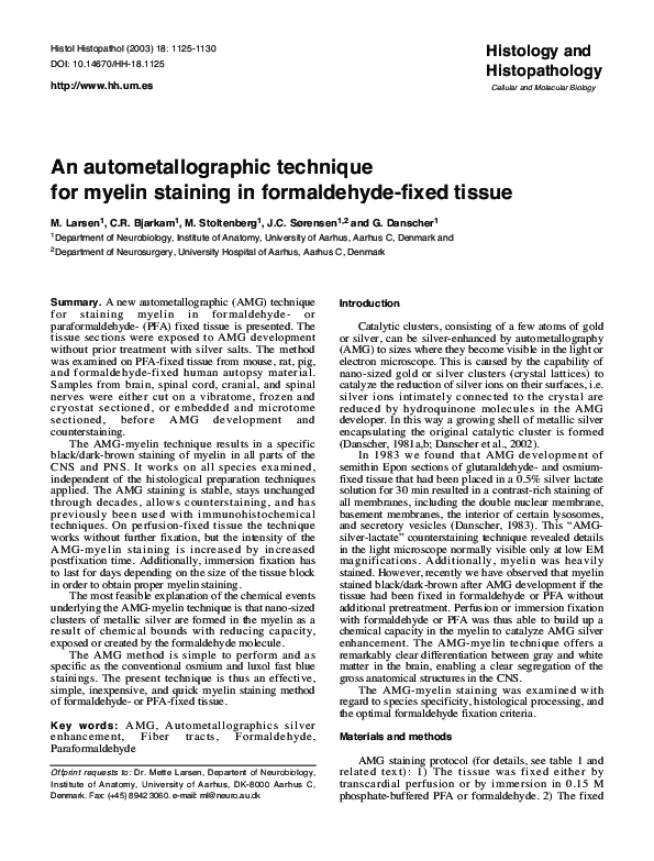 (PDF) An autometallographic technique for myelin staining in ...