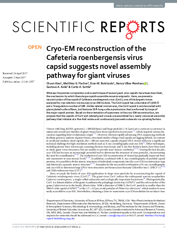 (PDF) Cryo-EM reconstruction of the Cafeteria roenbergensis virus ...