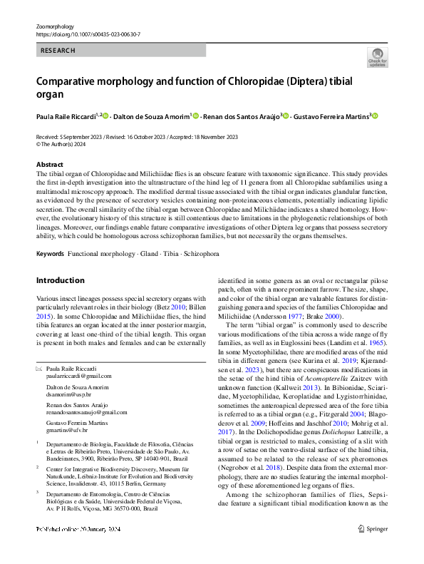 (PDF) Comparative morphology and function of Chloropidae (Diptera ...