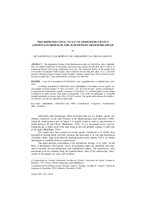 (PDF) The reproductive cycle of Ophichthus rufus (Anguiliformes) in the ...