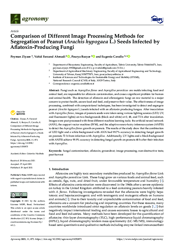 (PDF) Comparison of Different Image Processing Methods for Segregation of Peanut (Arachis ...