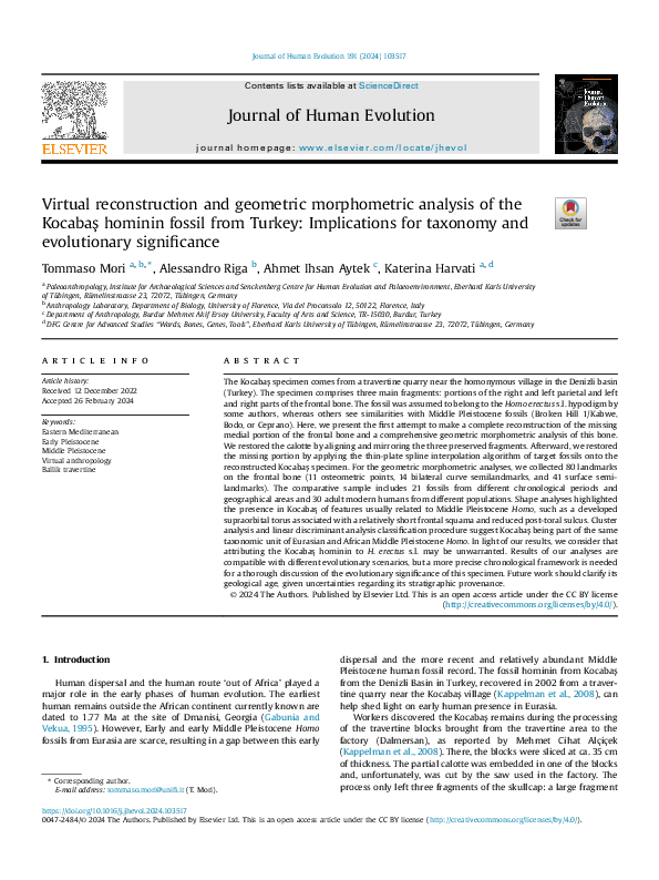 (PDF) Virtual reconstruction and geometric morphometric analysis of the ...