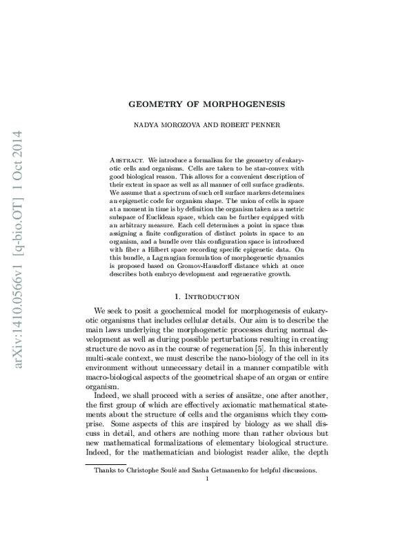 (PDF) Geometry of Morphogenesis