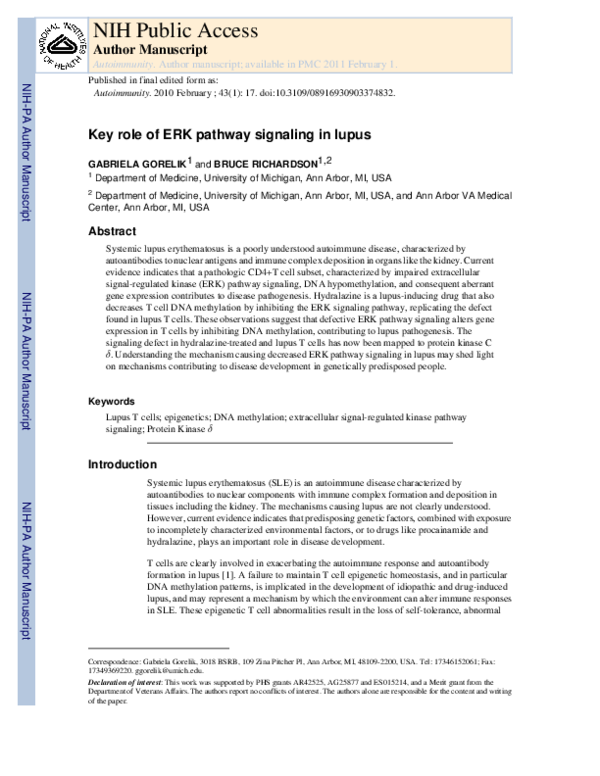 (PDF) Key role of ERK pathway signaling in lupus
