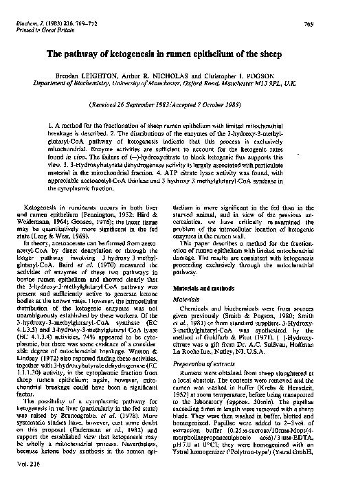 (PDF) The pathway of ketogenesis in rumen epithelium of the sheep