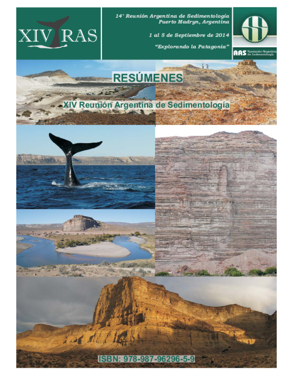 (PDF) Litofacies y paleoambientes sedimentarios de la Formación San ...