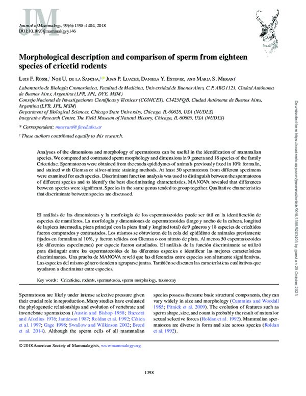 (PDF) Morphological description and comparison of sperm from eighteen species of cricetid rodents