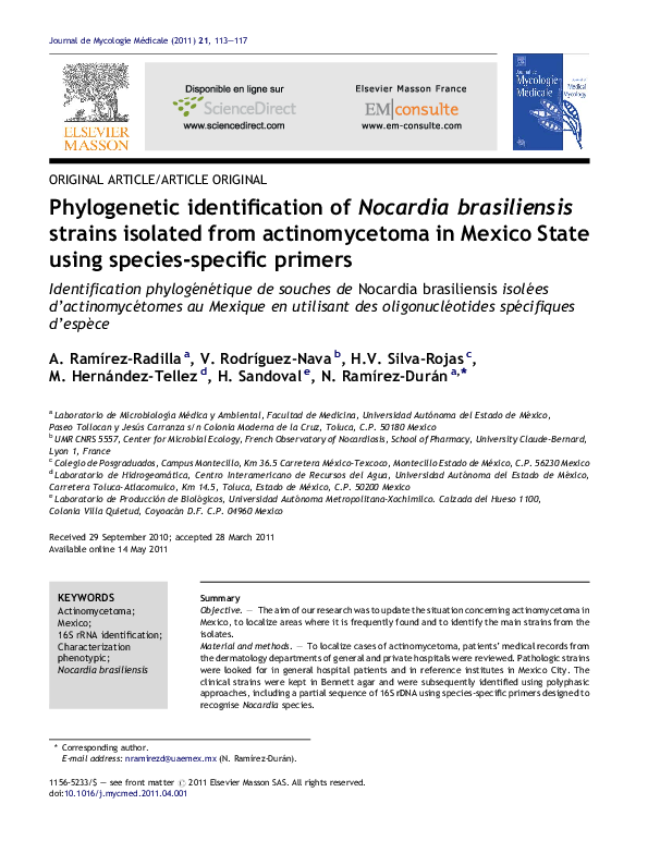 (PDF) Phylogenetic identification of Nocardia brasiliensis strains ...