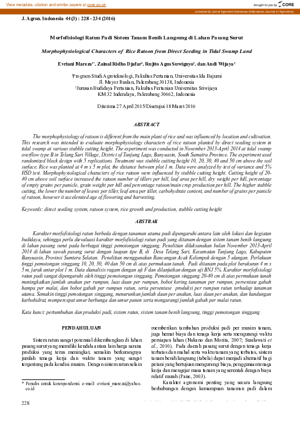 (PDF) Morfofisiologi Ratun Padi Sistem Tanam Benih Langsung di Lahan ...