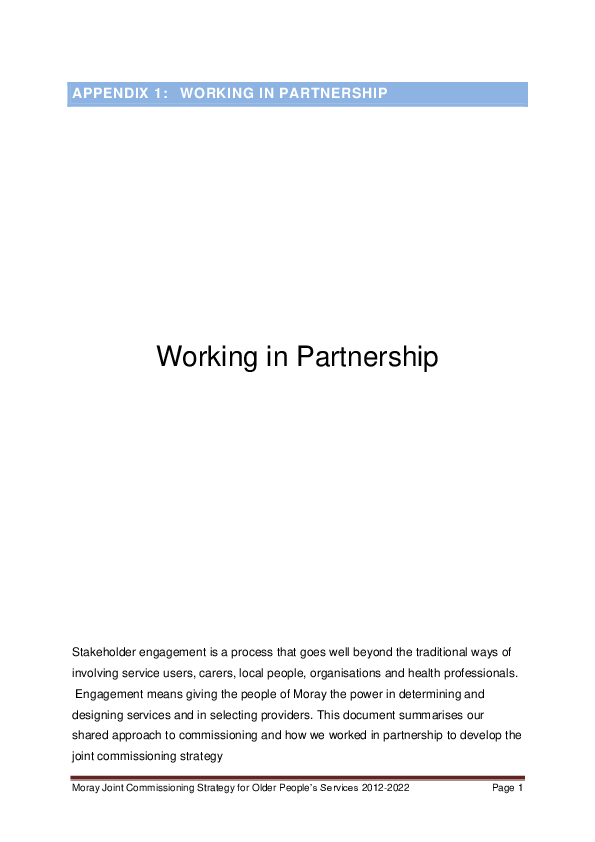 (PDF) Working in Partnership