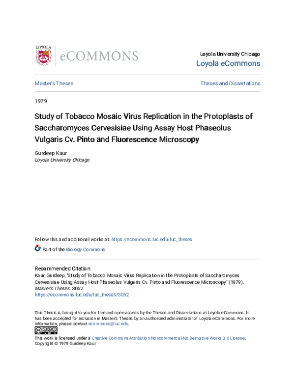 (PDF) Study of Tobacco Mosaic Virus Replication in the Protoplasts of ...