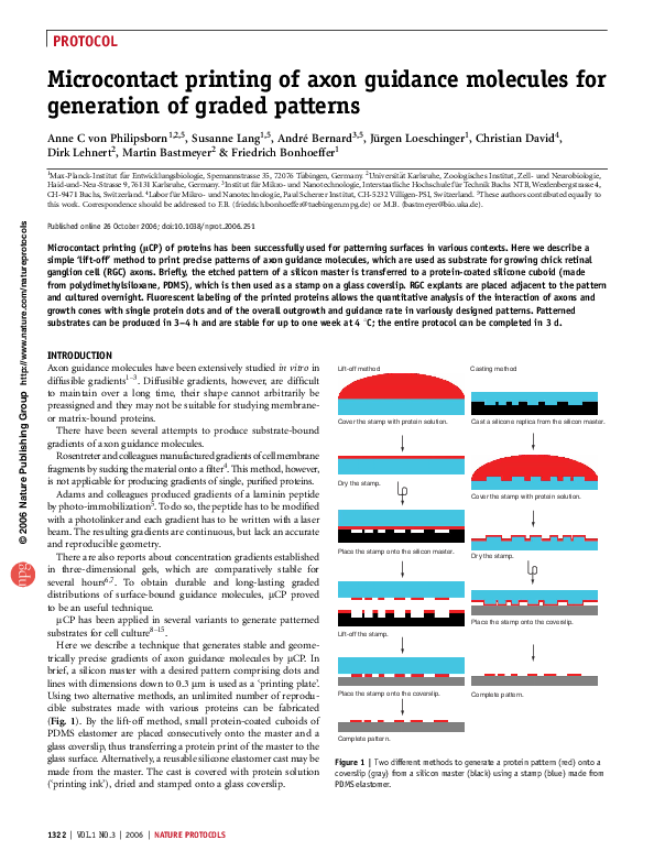 (PDF) Microcontact printing of axon guidance molecules for generation ...