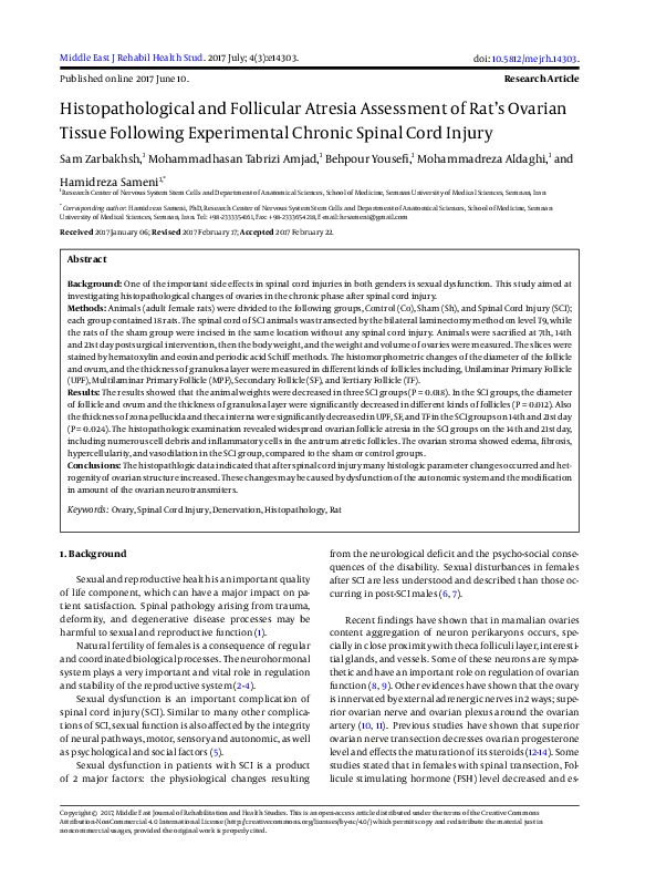 (PDF) Histopathological and Follicular Atresia Assessment of Rat’s ...