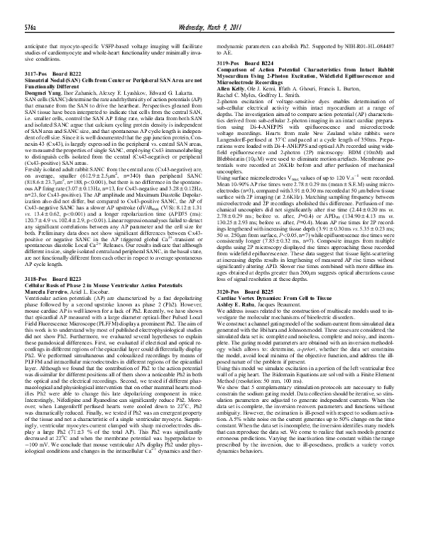 (PDF) Cardiac Vortex Dynamics: From Cell to Tissue