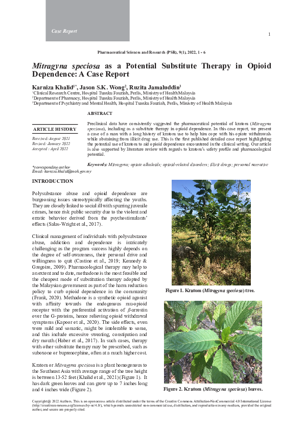 (PDF) Mitragyna speciosa as a Potential Substitute Therapy in Opioid ...