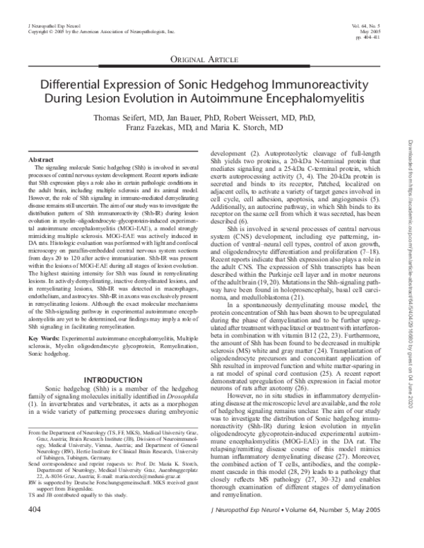 (PDF) Differential Expression of Sonic Hedgehog Immunoreactivity During ...