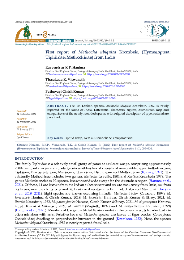 (PDF) First report of Methocha ubiquita Krombein (Hymenoptera ...