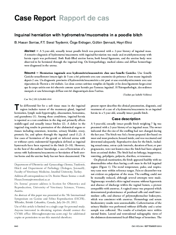 (PDF) Inguinal herniation with hydrometra/mucometra in a poodle bitch