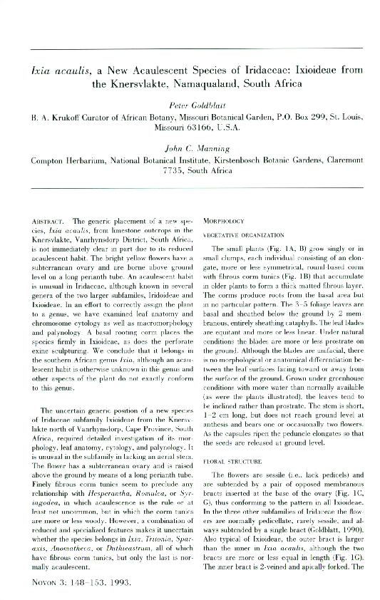 (PDF) Ixia acaulis, a New Acaulescent Species of Iridaceae: Ixioideae ...