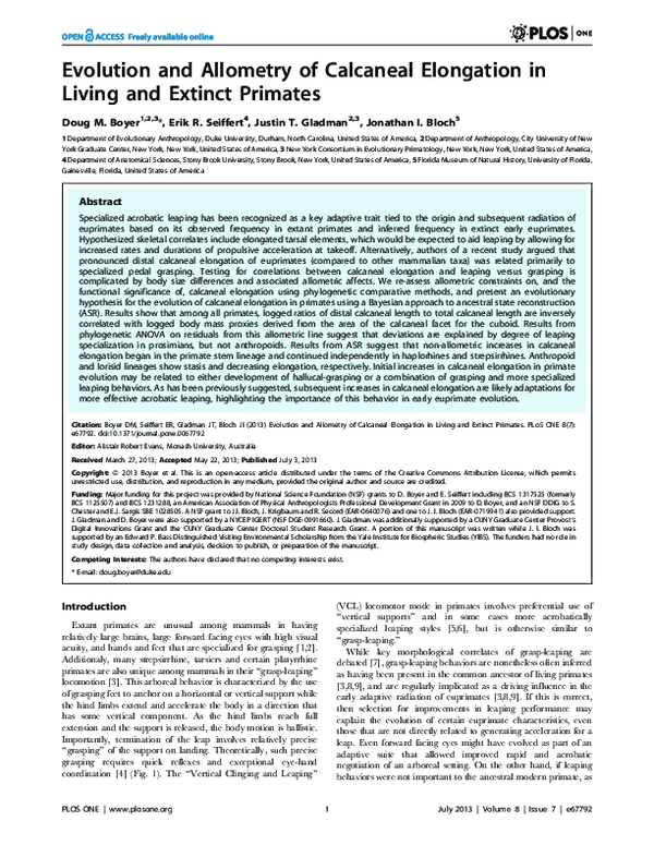 (PDF) Correction: Evolution and Allometry of Calcaneal Elongation in ...