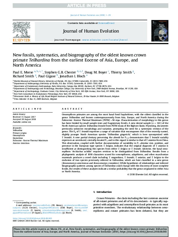 (PDF) New fossils, systematics, and biogeography of the oldest known ...