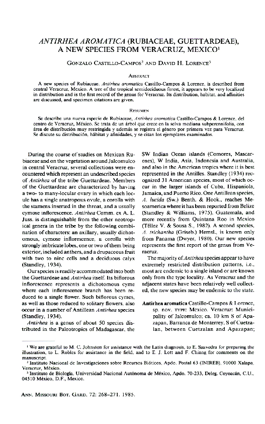 (PDF) Antirhea Aromatica (Rubiaceae, Guettardeae), A New Species from ...