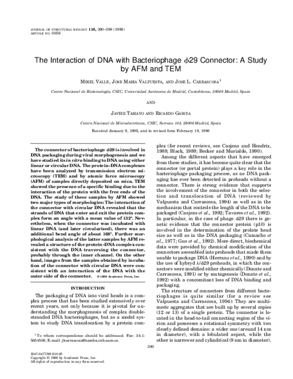 (PDF) The Interaction of DNA with Bacteriophage φ29 Connector: A Study ...