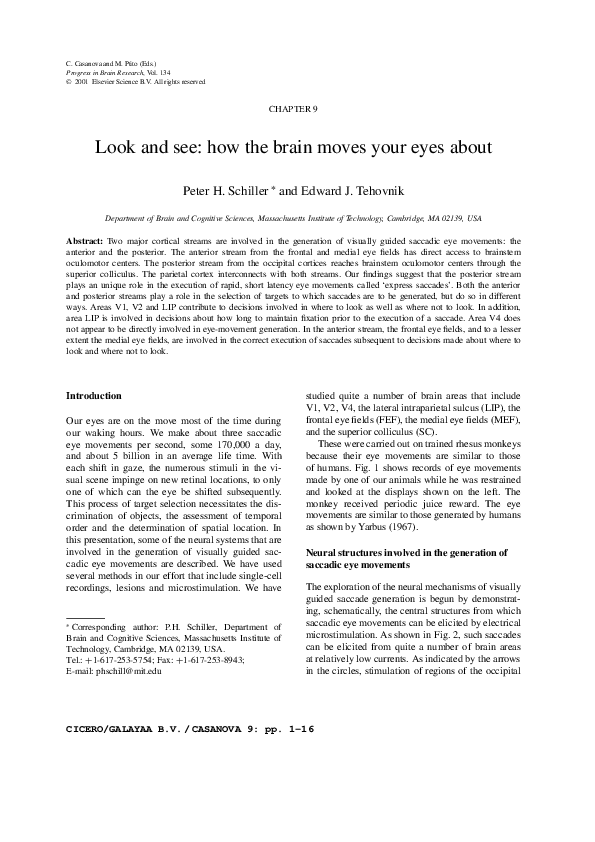 (PDF) Look and see: How the brain moves your eyes about