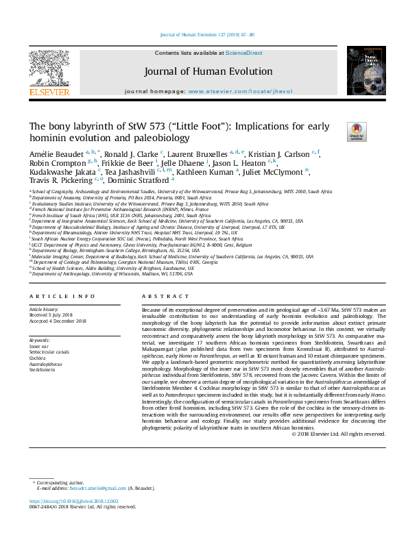 (PDF) The bony labyrinth of StW 573 (“Little Foot”): Implications for ...