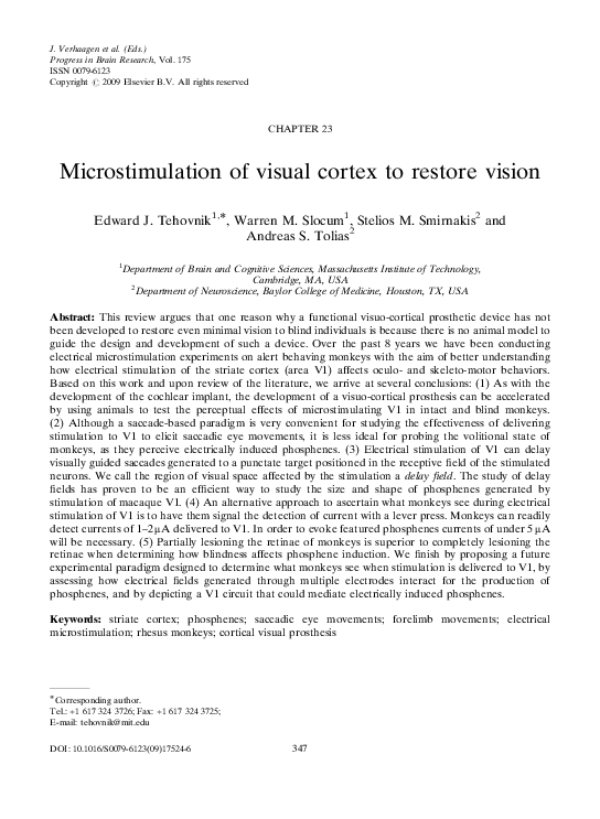 (PDF) Microstimulation of visual cortex to restore vision