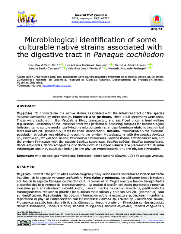 (PDF) Microbiological identification of some culturable native strains ...