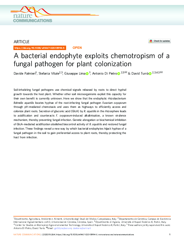 (PDF) A bacterial endophyte exploits chemotropism of a fungal pathogen ...