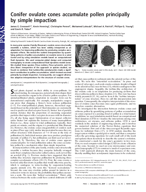 (PDF) Conifer ovulate cones accumulate pollen principally by simple ...