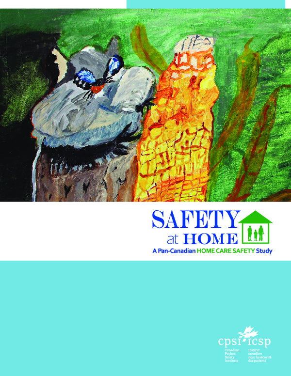 (PDF) Patient/Client Safety in Home Care in Canada | Margaret Harrison ...