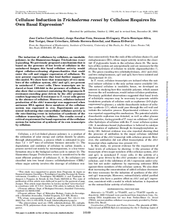 (PDF) Cellulase Induction in Trichoderma reesei by Cellulose Requires Its Own Basal Expression