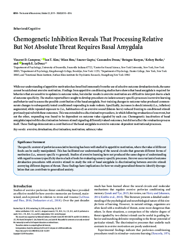 (PDF) Chemogenetic Inhibition Reveals That Processing Relative But Not ...