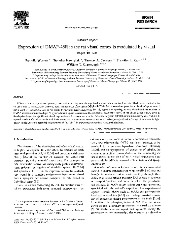 (PDF) Expression of DMAP-45R in the rat visual cortex is modulated by ...