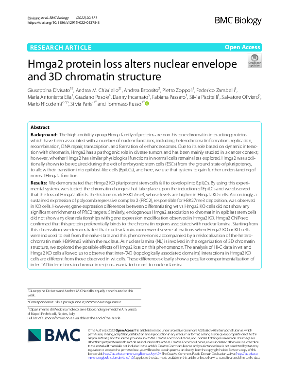 (PDF) Hmga2 protein loss alters nuclear envelope and 3D chromatin structure