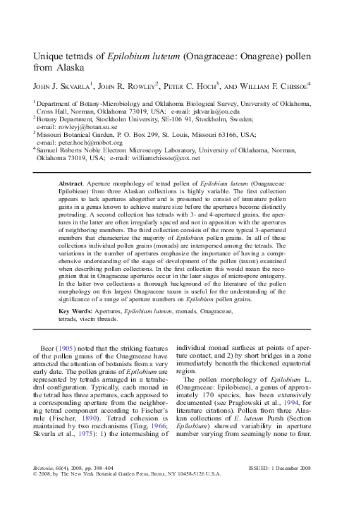 (PDF) Unique tetrads of Epilobium luteum (Onagraceae: Onagreae) pollen ...
