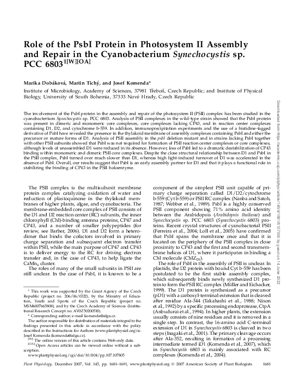 (PDF) Role of the PsbI Protein in Photosystem II Assembly and Repair in ...