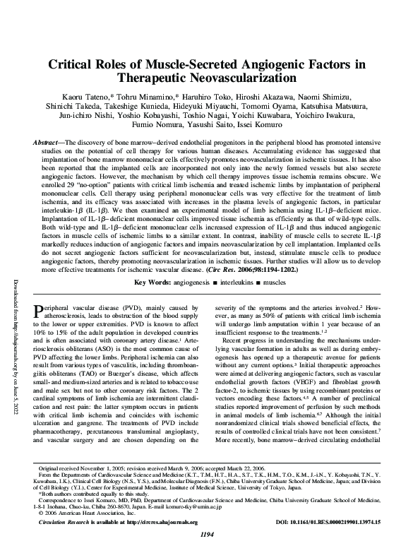 (PDF) Critical Roles of Muscle-Secreted Angiogenic Factors in ...