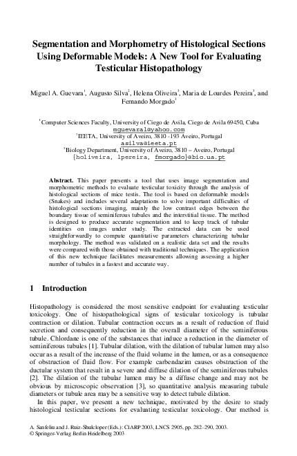 Pdf Segmentation And Morphometry Of Histological Sections Using