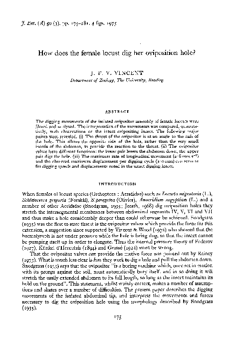 (PDF) How does the female locust dig her oviposition hole?